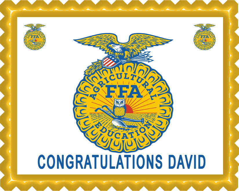 FFA (Nr2) - Edible Cake Topper, Cupcake Toppers, Strips – EPOC-PRINT